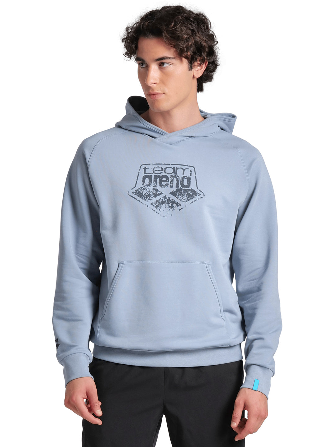 Arena Unisex Logo Hoodie at SwimOutlet.com