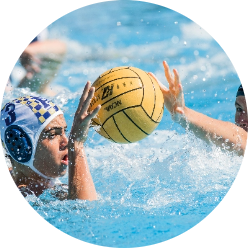 Guide to Water Aerobic Weights - SwimOutlet.com